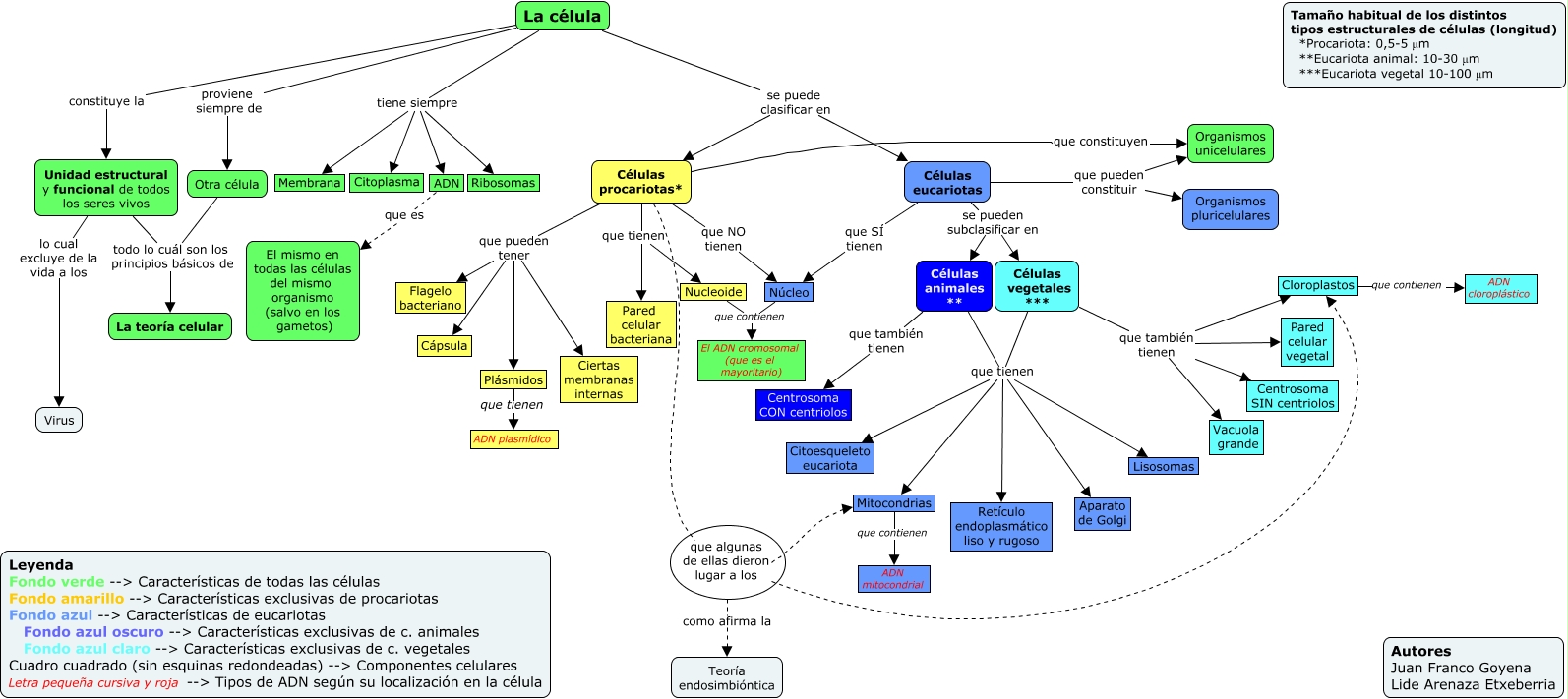 Cmap_Células y orgánulos_1º de Bachillerato